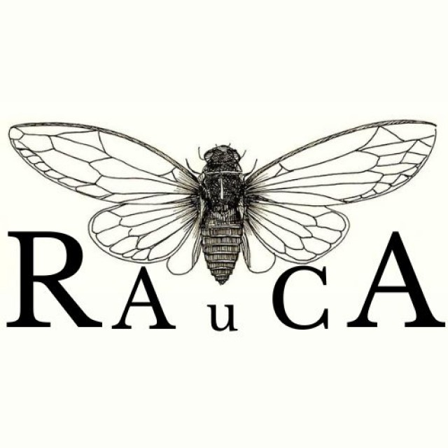 Segundo encuentro de la Red de Aulas Clásicas Argentinas (RAuCA)